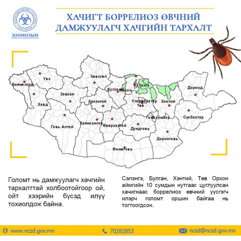 Хачгийн халдварын сэжигтэй 55 тохиолдол бүртгэгджээ News Mn