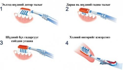 Шүдээ хэрхэн зөв угаах вэ News Mn