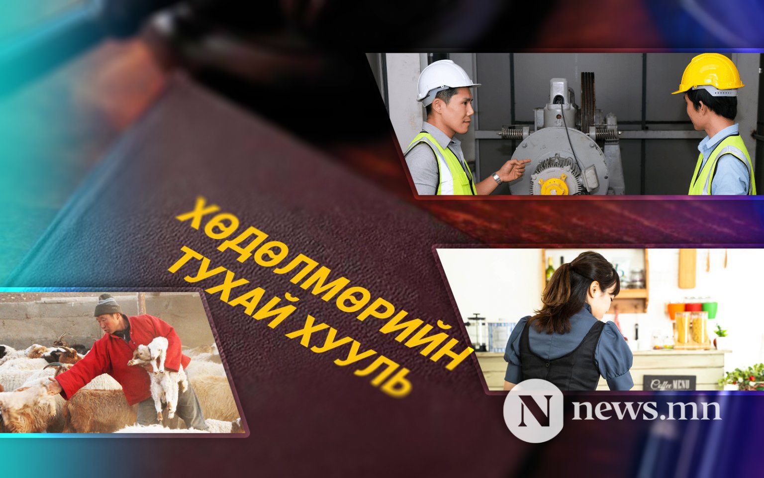 Хөдөлмөрийн хууль Туслах малчин гэрийн үйлчлэгч гэрээ байгуулна News Mn